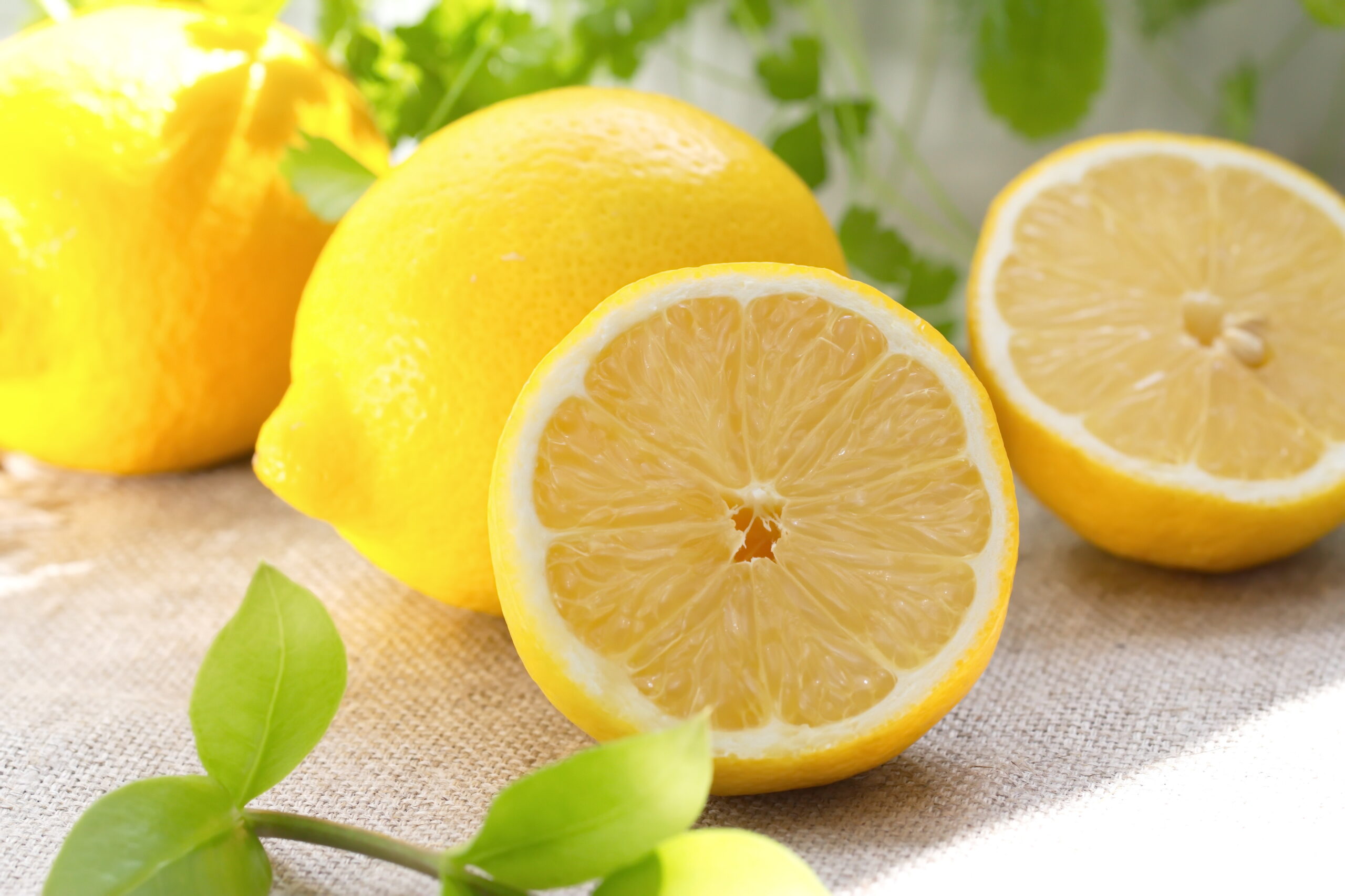 Citric Acid Chemical Safety Facts